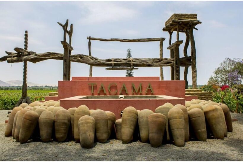 Ica: Pisco Tour | Tacama, Arrabal, Bodega Lovera | - FAQ