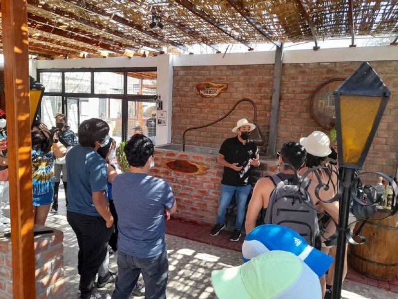 Ica: Pisco Wineries and Vineyards Day Tour - An In-Depth Look at the Itinerary