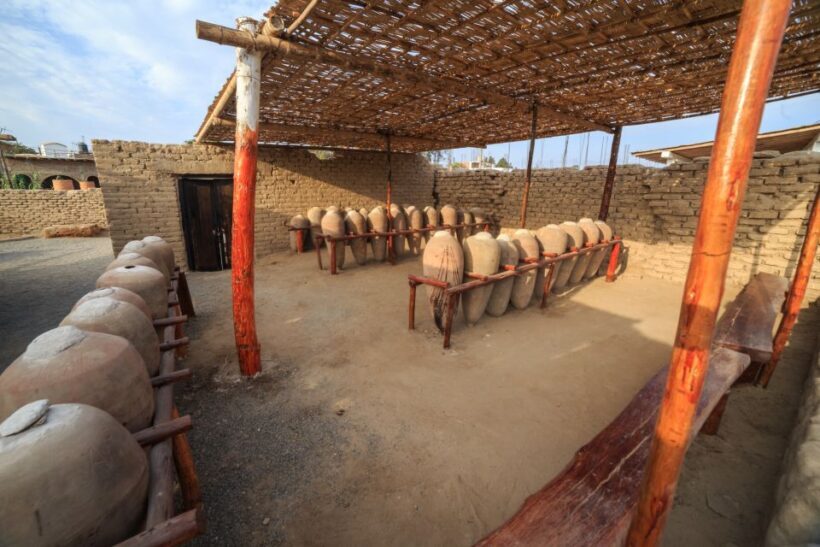 Ica: Private City Tour & Wine Tasting - Key Points