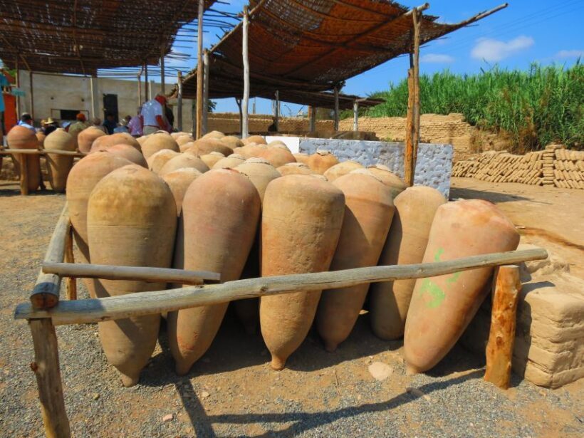 Ica: Private City Tour & Wine Tasting - Final Thoughts