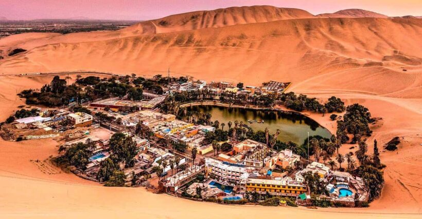 Ica: tour de pisco y vino con viaje al desierto - Authenticity and Value