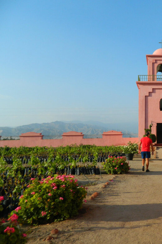 Ica: tour de pisco y vino con viaje al desierto - Who Should Consider This Tour?