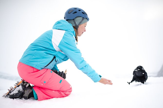 Ice Cave Captured - Professional Photos Included - Exceptional Traveler Ratings