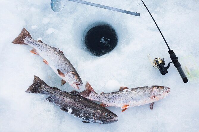 Ice Fishing Tour from Fairbanks - Key Points