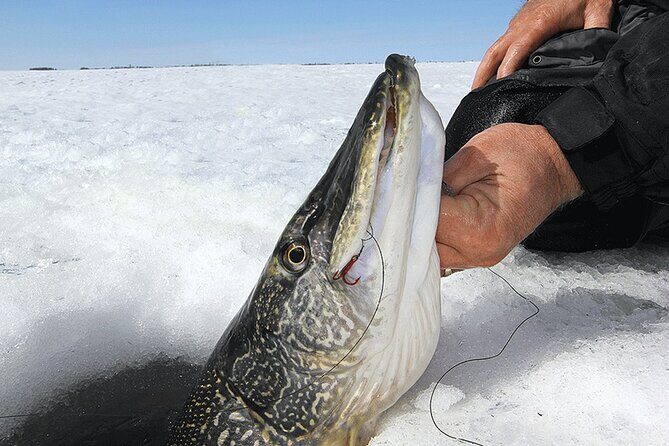 Ice Fishing Tour from Fairbanks - An In-Depth Look at the Ice Fishing Tour