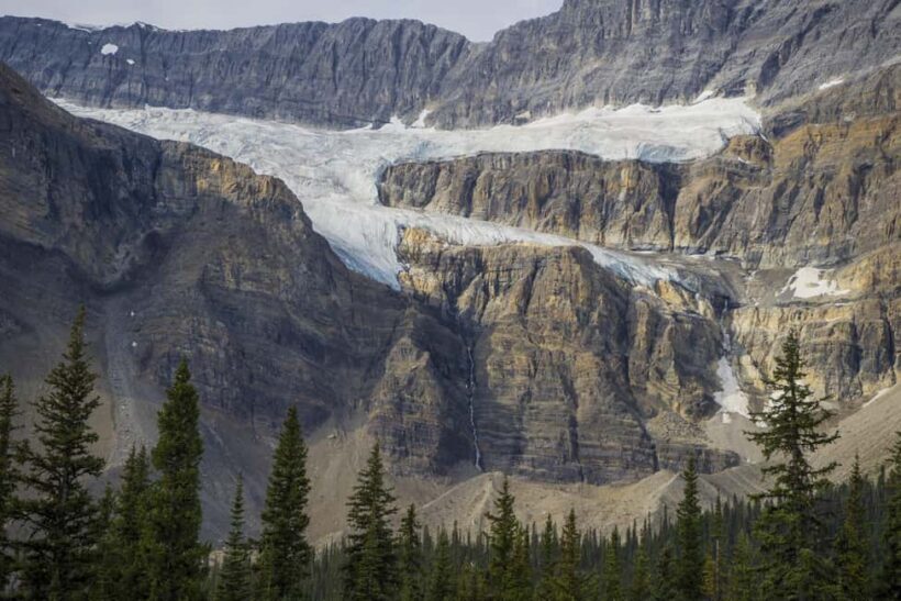 Icefield: Bow Lake, Columbia Icefield, Peyto Lake Day Tour - Crowfoot Glacier: The Iconic Shape