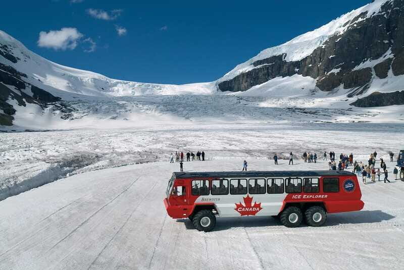 Icefield: Bow Lake, Columbia Icefield, Peyto Lake Day Tour - What to Expect from the Experience