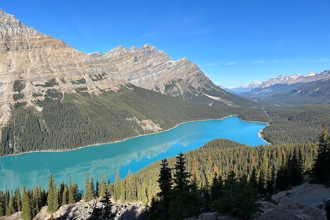 Icefield Parkway with Lake Louise and Moraine Lake Private Tour - An In-Depth Look at What You Can Expect