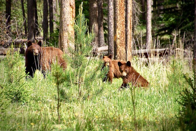 Icefields Parkway Highlights & Secrets | Award-Winning Adventure - Starting Point and Overall Logistics