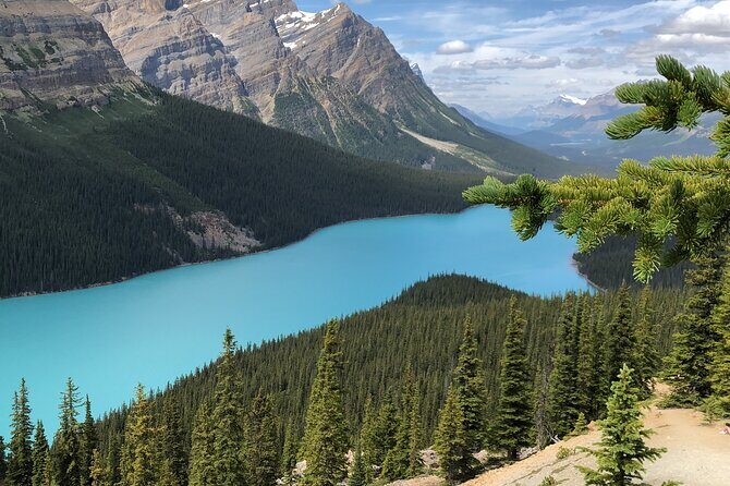Icefields Pkwy: Lake Louise | Bow | Peyto|Glacier - PRIVATE TOUR - Real Traveler Insights