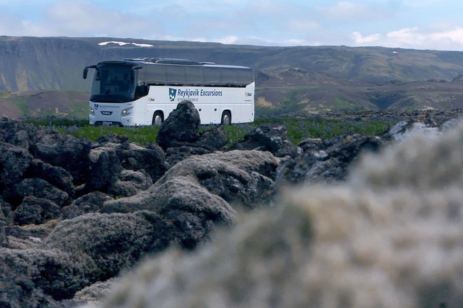 Iceland: Airport Transfers Between Keflavík and Reykjavik Center - Features and Amenities