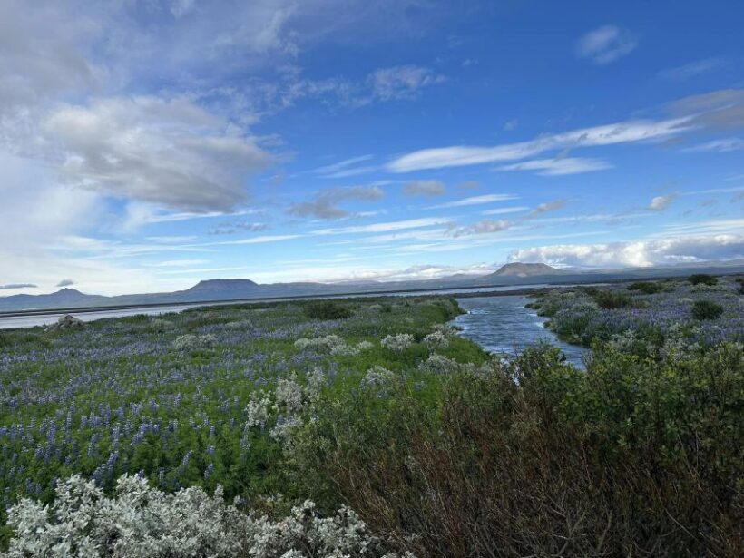 Iceland atv. atv guided trip close to dettifoss iceland - FAQ