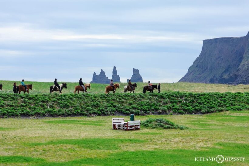 Iceland: South Coast and Glacier Hiking in Small Group - Final Thoughts: Is This Tour Right for You?