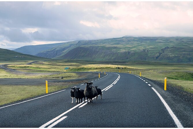 Iceland South Coast Tour With Pickup - Special Notes on Accessibility and Travel Recommendations