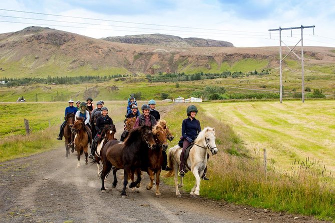 Icelandic Horse Riding and Whale Watching Cruise from Reykjavík - FAQ