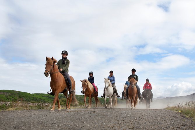 Icelandic Horseback Riding Tour from Reykjavik - The Riding Experience