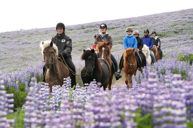 Icelandic Horseback Riding Tour from Reykjavik - FAQs