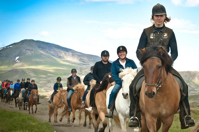 Icelandic Horseback Riding Tour Including Pick Up from Reykjavik - Introduction: Why Consider This Tour?