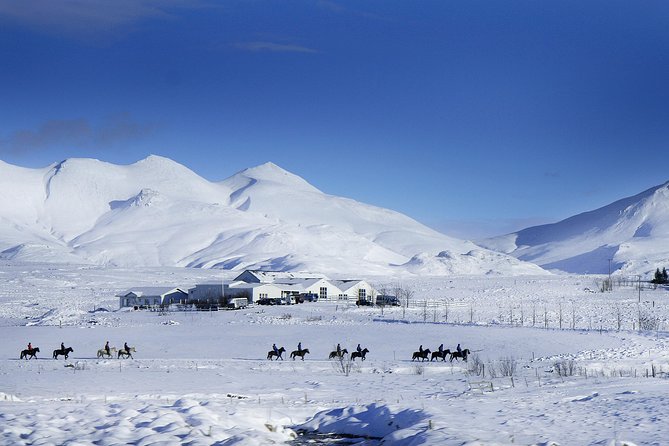 Icelandic Horseback Riding Tour Including Pick Up from Reykjavik - Navigating the Itinerary