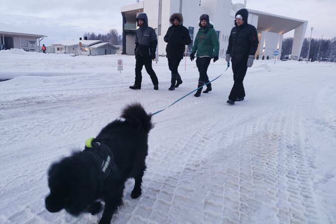 Icetrek to Old Kemi - FAQ