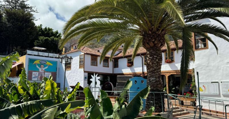 Icod de los Vinos: Casa del Plátano Entry Ticket - Why This Experience Offers Good Value