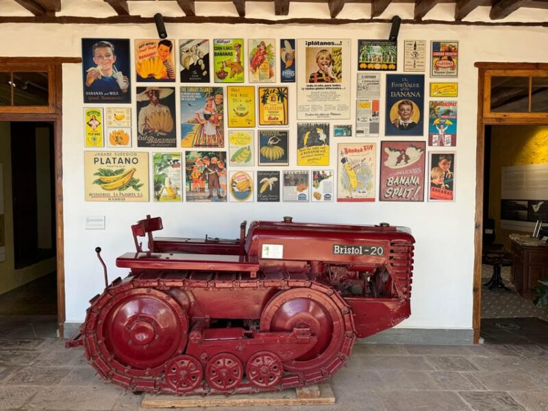 Icod de los Vinos: Casa del Plátano Entry Ticket - Who Should Consider Visiting