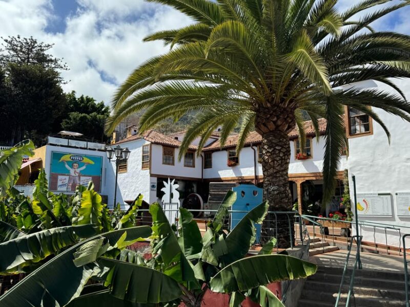 Icod de los Vinos: Casa del Plátano Entry Ticket - Final Thoughts