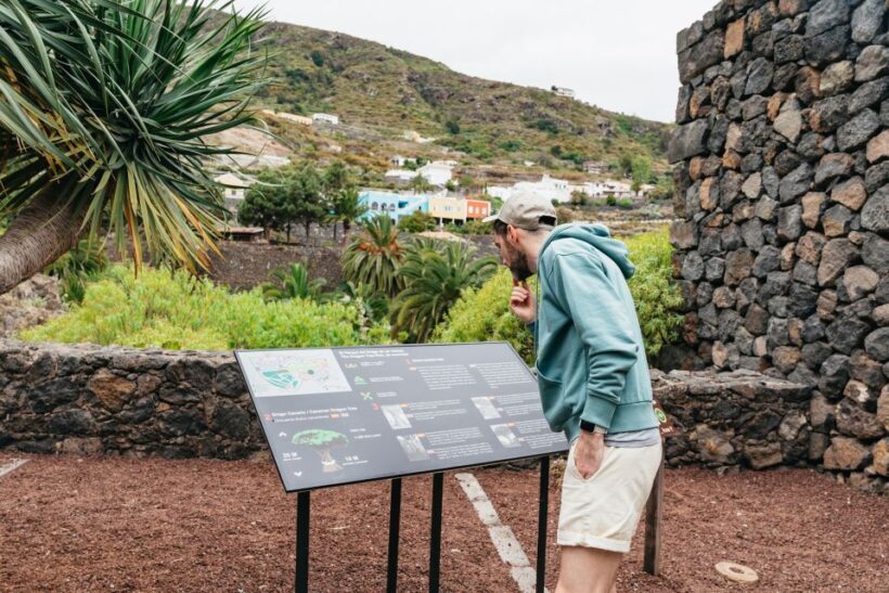 Icod de los Vinos: Dragon Tree & Botanical Garden Ticket - Authentic Experiences & What Reviewers Say