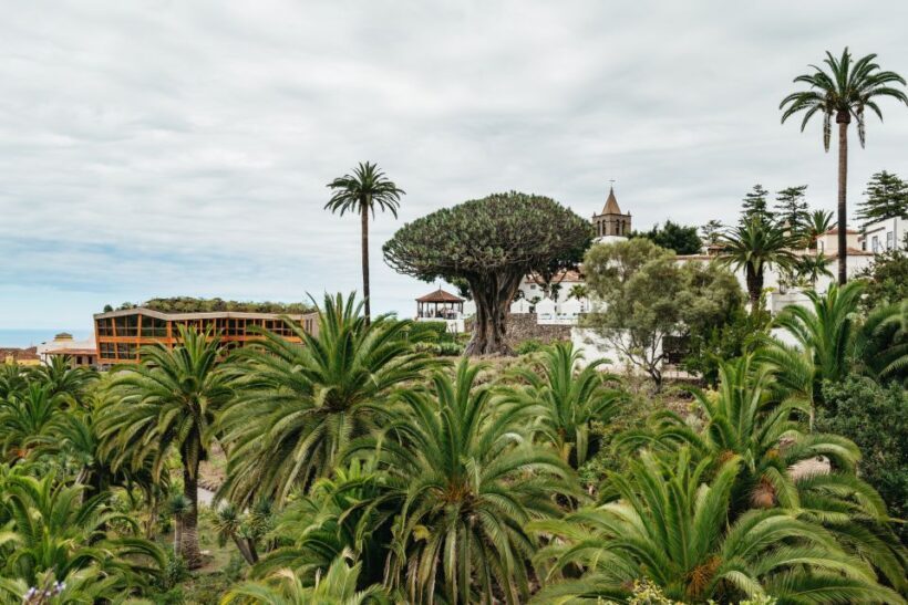 Icod de los Vinos: Dragon Tree & Botanical Garden Ticket - FAQs