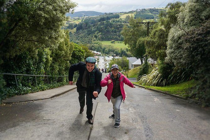Iconic Shore Excursion: Dunedin City Highlights Tour - Transport, Timing, and Overall Value