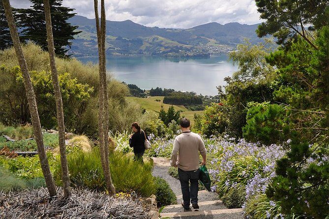 Iconic Shore Excursion: Iconic Larnach Castle Tour - What to Expect from the Itinerary