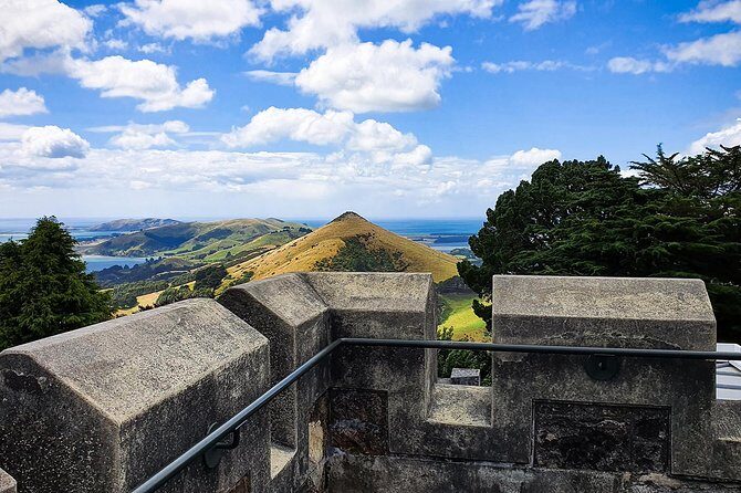 Iconic Shore Excursion: Iconic Larnach Castle Tour - Who Should Consider This Tour?