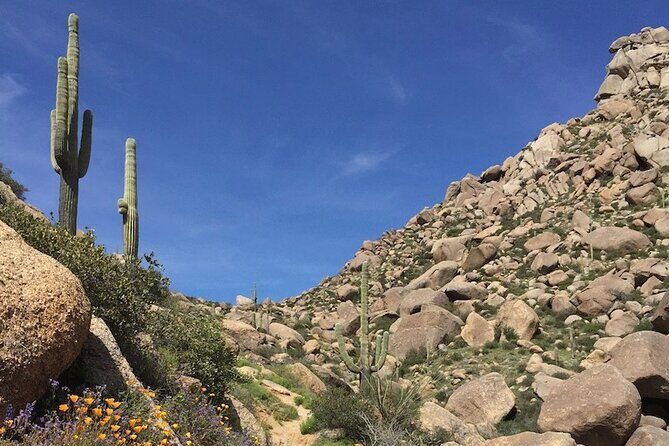 Iconic Tom's Thumb Guided Hiking Adventure in Scottsdale, Arizona - Who Will Love This Tour?