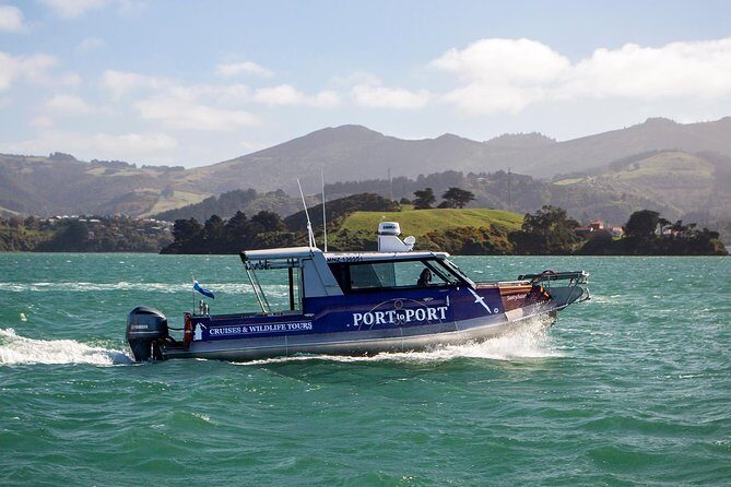 Iconic Wildlife Tour with Yellow Eyed Penguins & Royal Albatross - Who Will Love This Tour?
