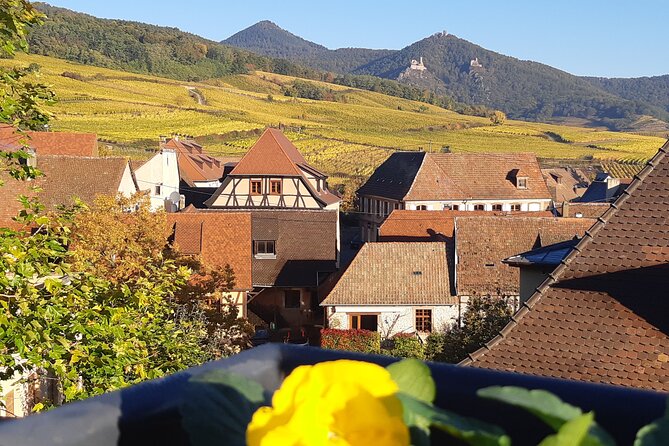 ICONICS Tour: 1/2 Day on the Wine Route, Visit of 2 Villages + Tasting. - Wine Tasting at Local Wineries