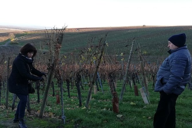 ICONICS Tour: 1/2 Day on the Wine Route, Visit of 2 Villages + Tasting. - Exploring Picturesque Alsace Villages