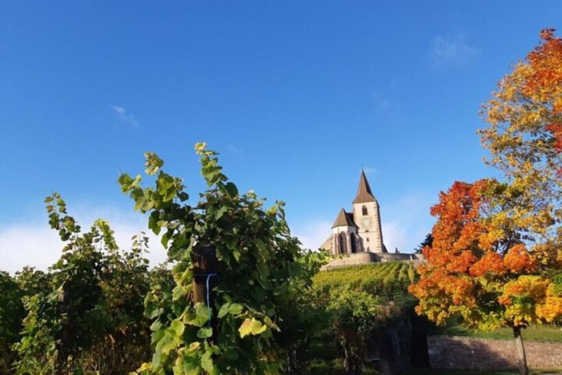 Iconics Typical villages & Haut Koenigsbourg castle - A Thorough Look at the Itinerary