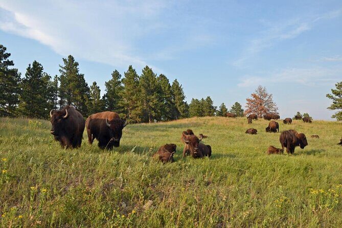 Icons of the West: Black Hills & Badlands 3-Day Tour - Introduction