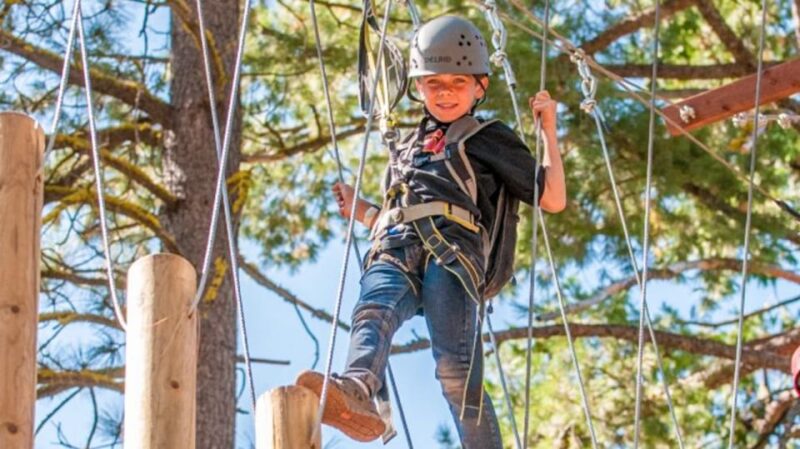Idaho Springs: Ropes Challenge Course Ticket - Who Will Love This Experience?