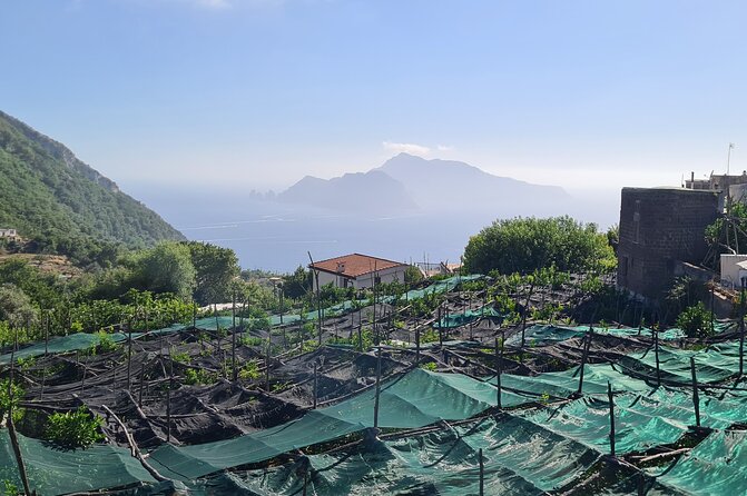 Ieranto bay hike and swim - Amalfi & Sorrento coast - - Final Thoughts