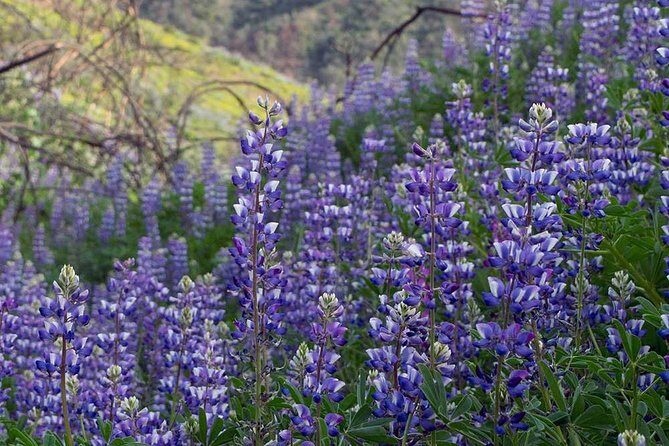If you Hike, Bike, Rock Climb or play Tennis, Trails by Potter are your guides! - Breaking Down the Experience: A Closer Look