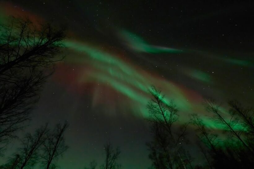 Ii: Snowmobile sleigh trip on frozen sea under starlit sky - Key Points