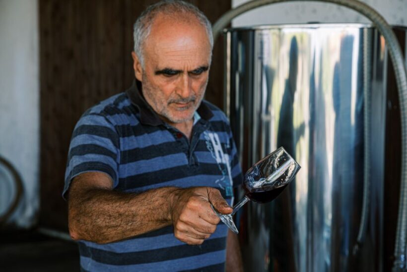 Ikaria: Winery Tour and Tasting with Winemaker - A Deep Dive into the Ikaria Winery Tour