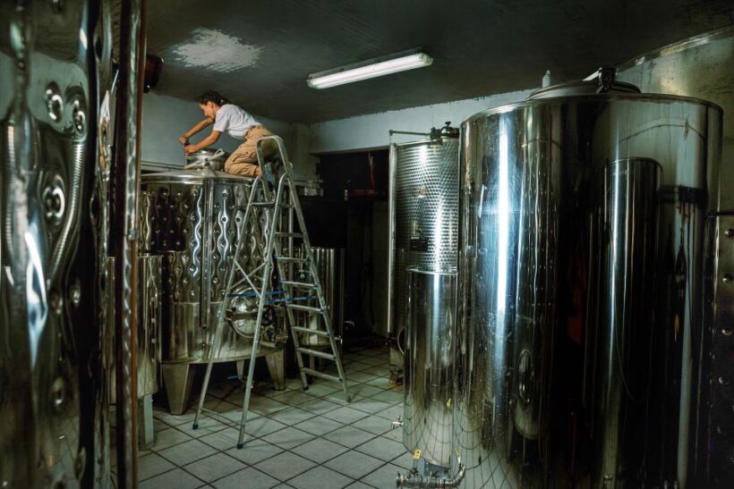 Ikaria: Winery Tour and Tasting with Winemaker - The Sum Up