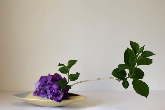 IKEBANA Experience - Experience Highlights