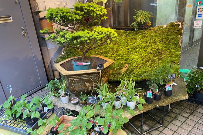 Ikebana Experience Tour in Kyoto - An Authentic Ikebana Experience