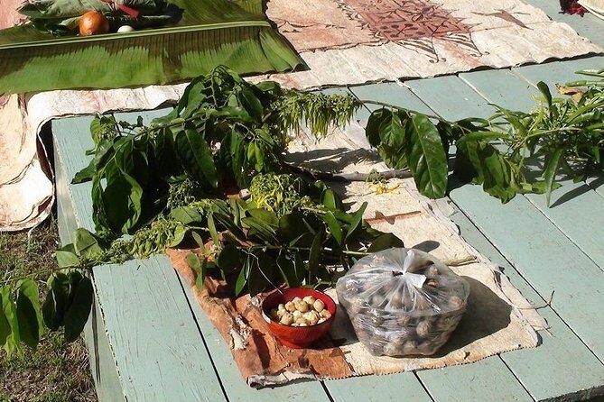 'Ilaheva Private Museum Tour with Tongan Medicine & Tongan Beauty Product - Practical Details: What You Need to Know