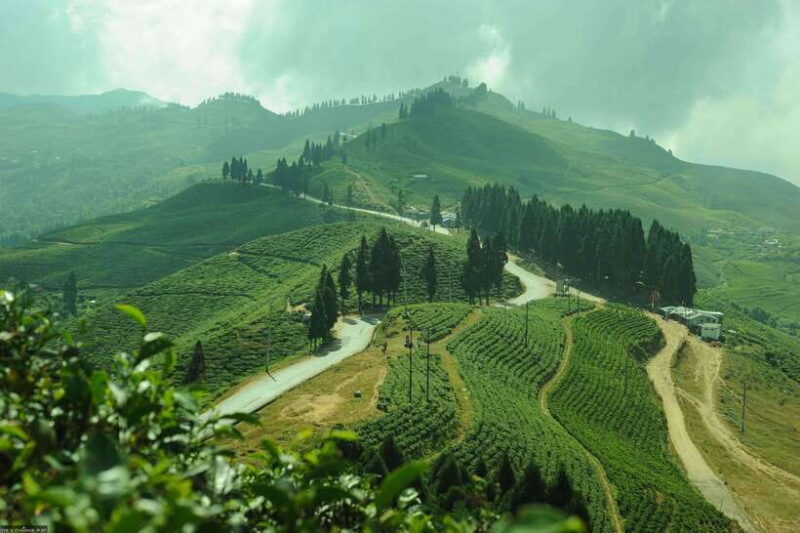Ilam: 7-Day Luxury Tea Garden Stay in Illam - Key Points