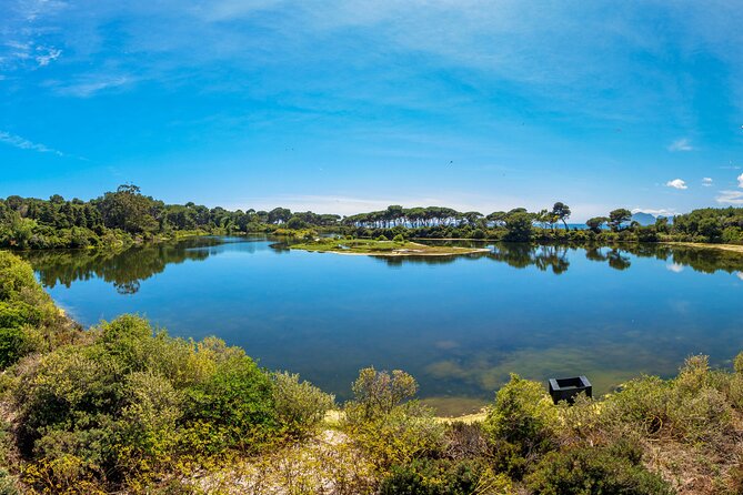 Ile Sainte-Marguerite Ferry & Corniche d'Or Cruise Combo from Cannes - Authentic Experiences and Practical Tips