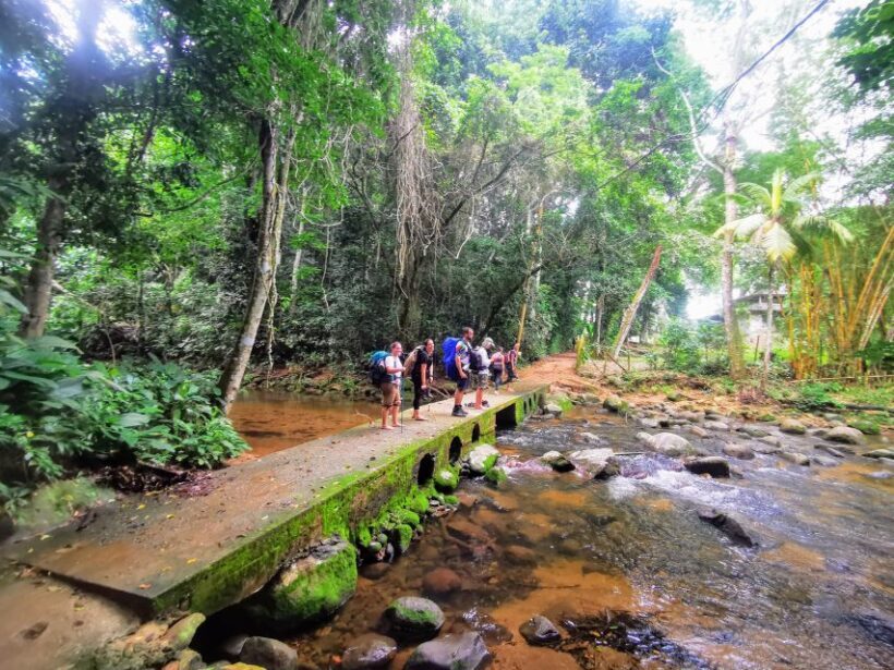 Ilha Grande: Private Hiking with Forest, Beaches & Waterfall - Frequently Asked Questions